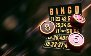 How to Win Bingo: The Way Experts Win At This Game - HunnyPlay Blog